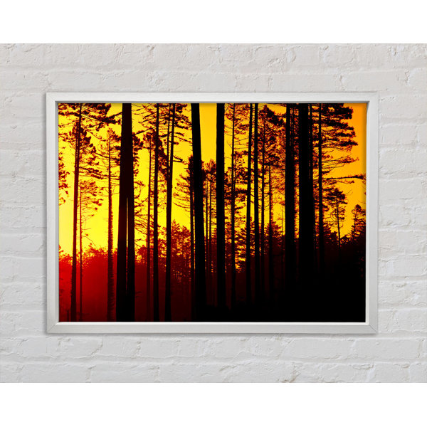 Union Rustic Through The Trees - Einzelne Bilderrahmen Kunstdrucke auf Leinwand | Wayfair.de